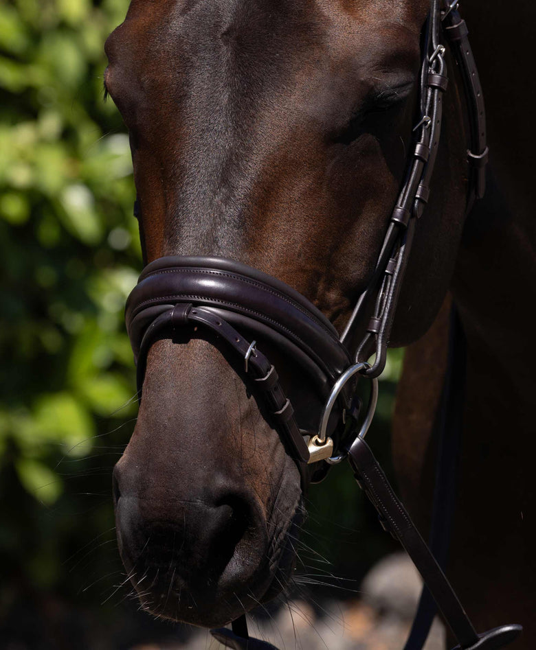 Castello Anatomical Bridle - Brown