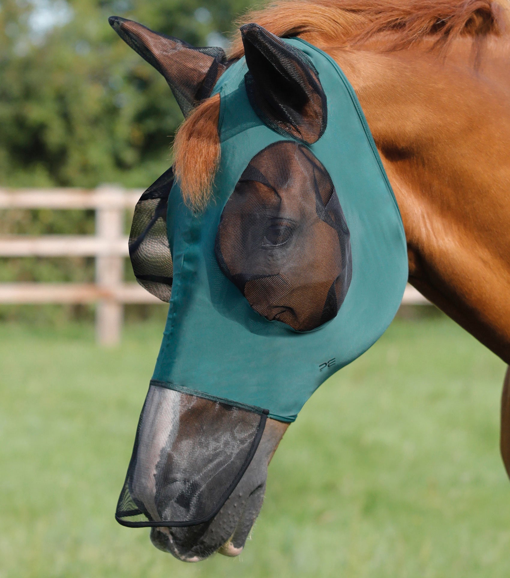Comfort Tech Xtra Lycra Fly Mask Green