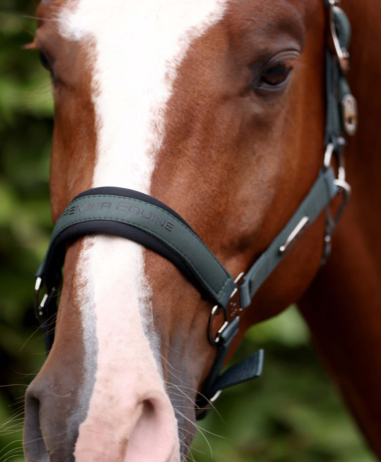 Duco Padded Head Collar with Lead Rope Green