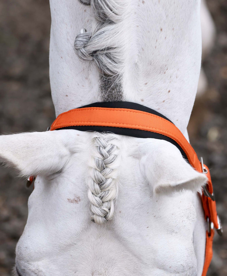 Duco Padded Head Collar with Lead Rope Orange
