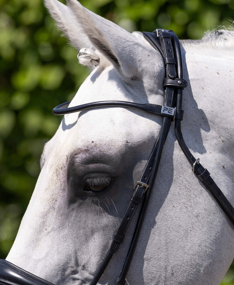 Finetti Rolled Leather Snaffle Bridle Black