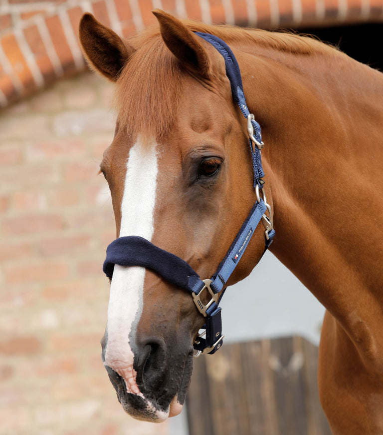 NQP-Fleece Padded Head Collar Navy