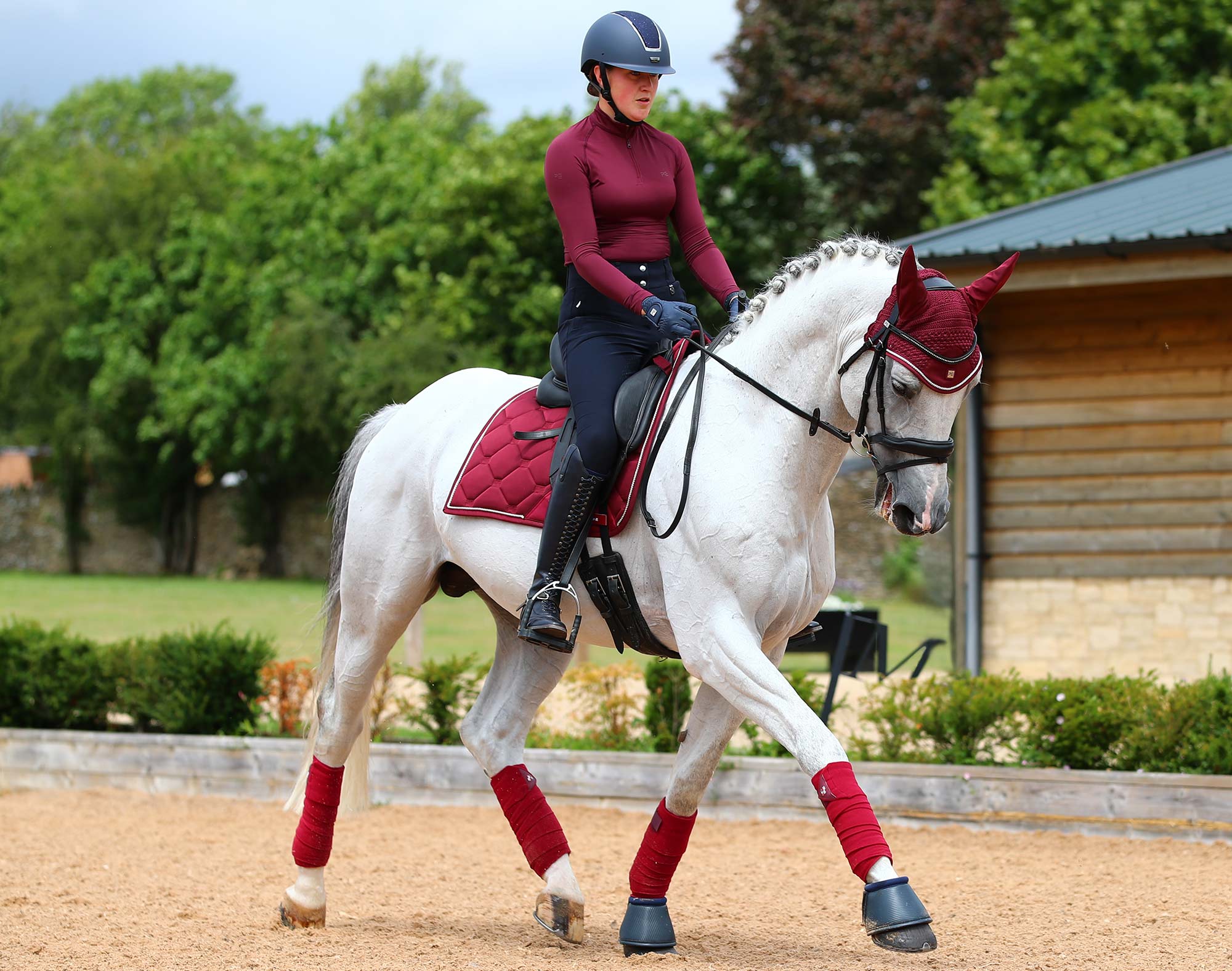 Horse Rugs, Horse Boots, Ladies Breeches by Premier Equine – Premier ...