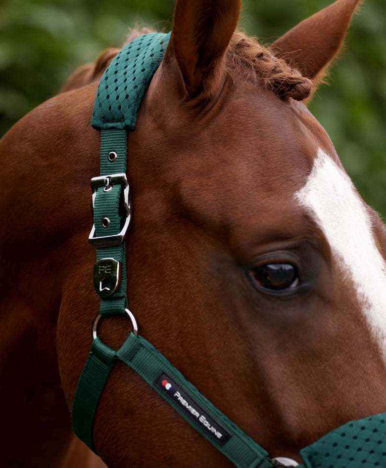 Necto 3D Mesh Head Collar with Lead Rope Green