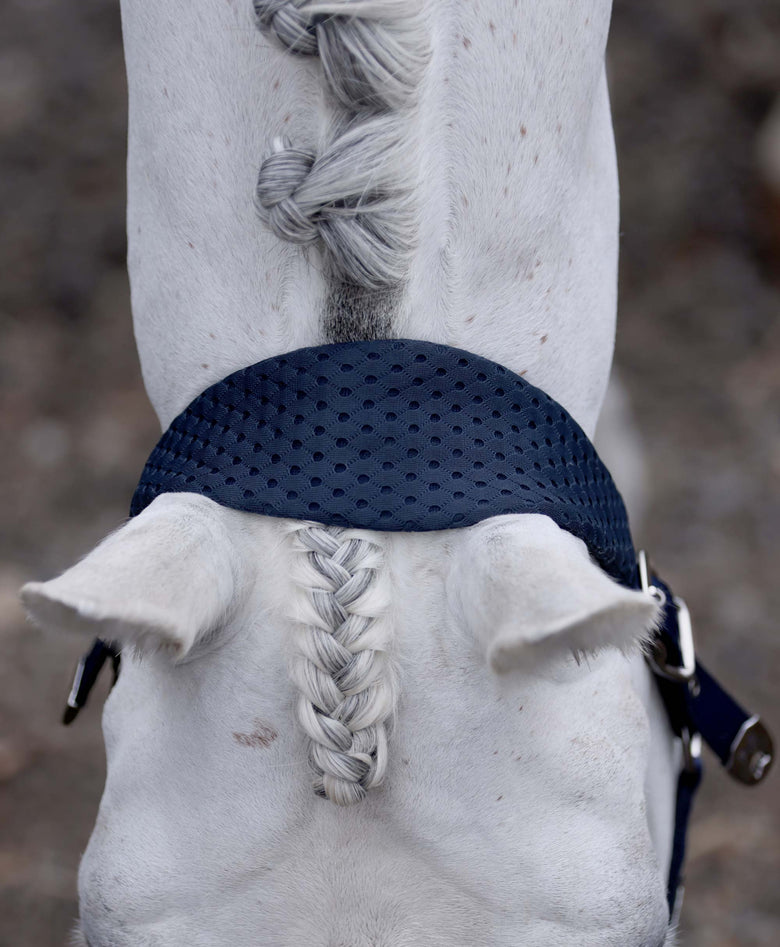 Necto 3D Mesh Head Collar with Lead Rope Navy