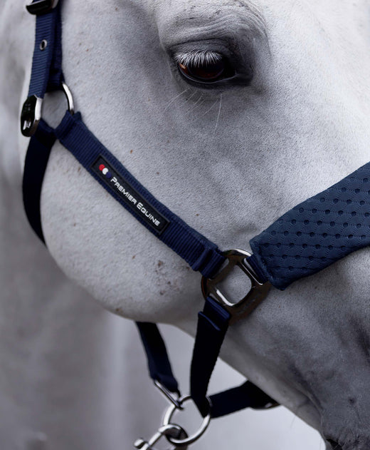 Necto 3D Mesh Head Collar with Lead Rope Navy
