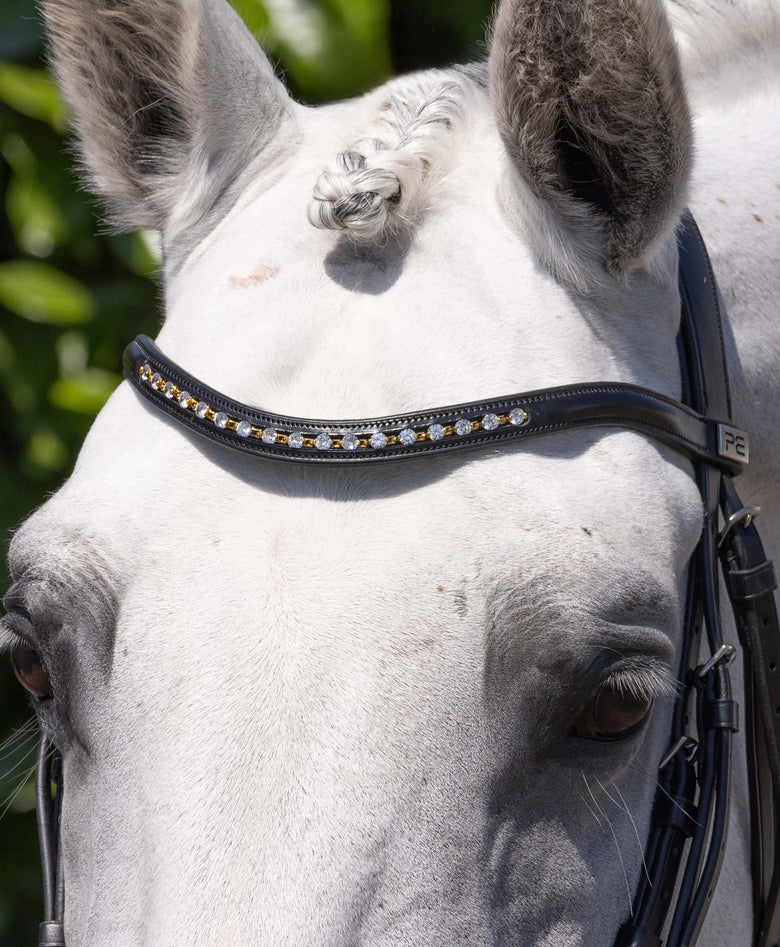 Palazzo Anatomical Bridle Black