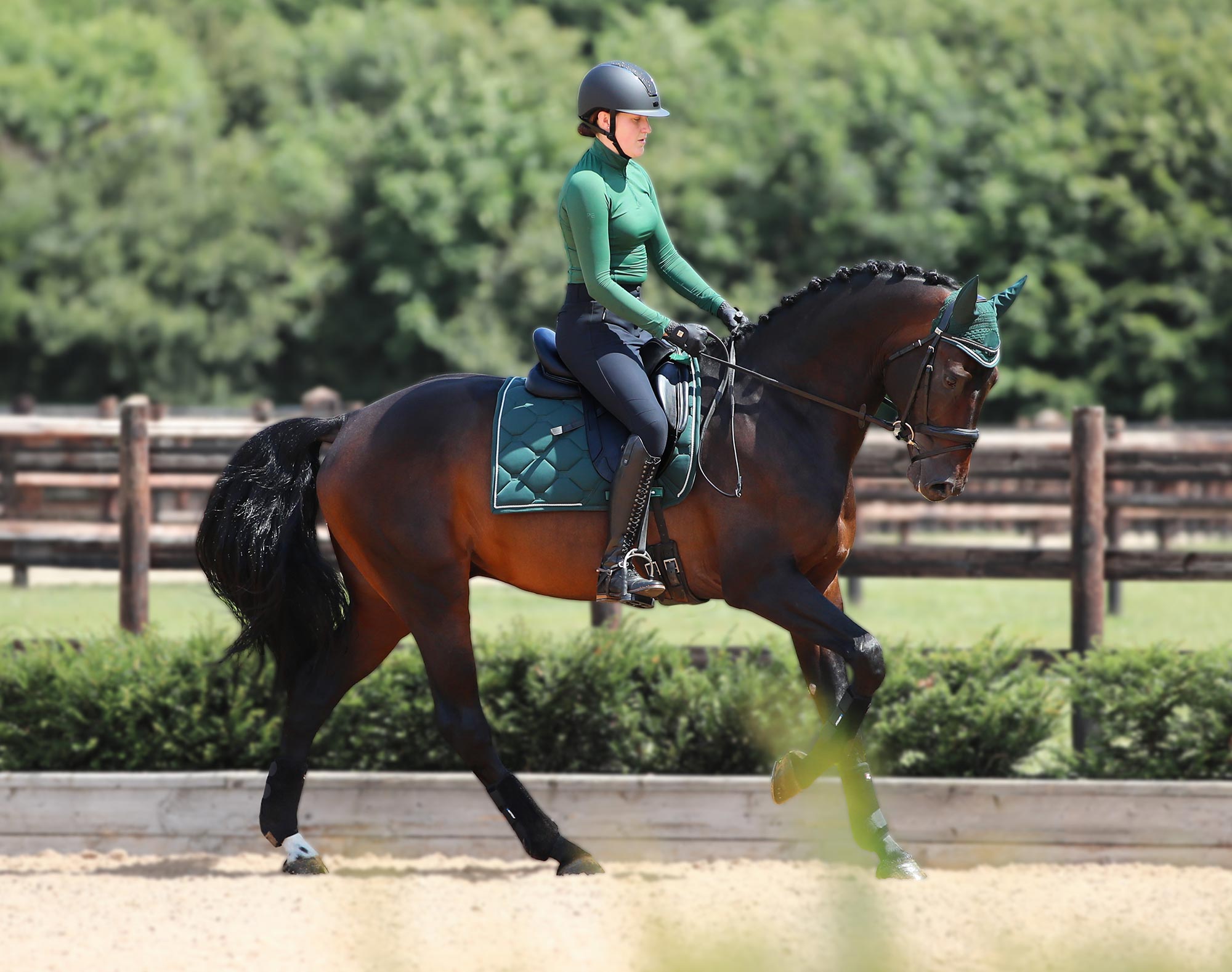 Horse Rugs, Horse Boots, Ladies Breeches by Premier Equine – Premier ...