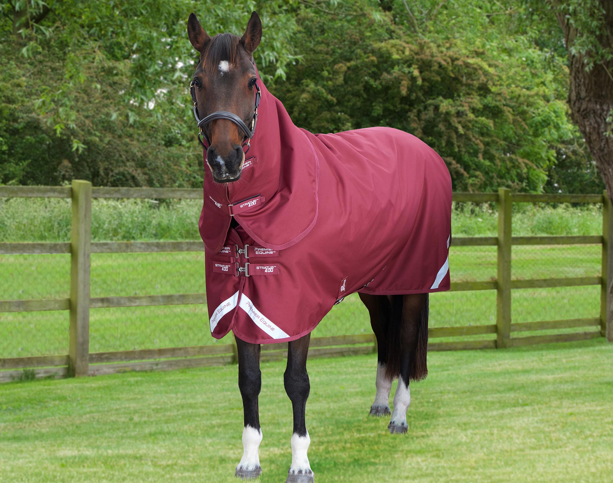 Horse Rugs, Horse Boots, Ladies Breeches by Premier Equine